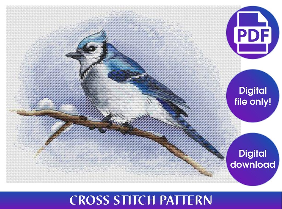 Blue Jay Stitching Pattern,blue Jay Pdf,counted Cross Stitch Patterns ...
