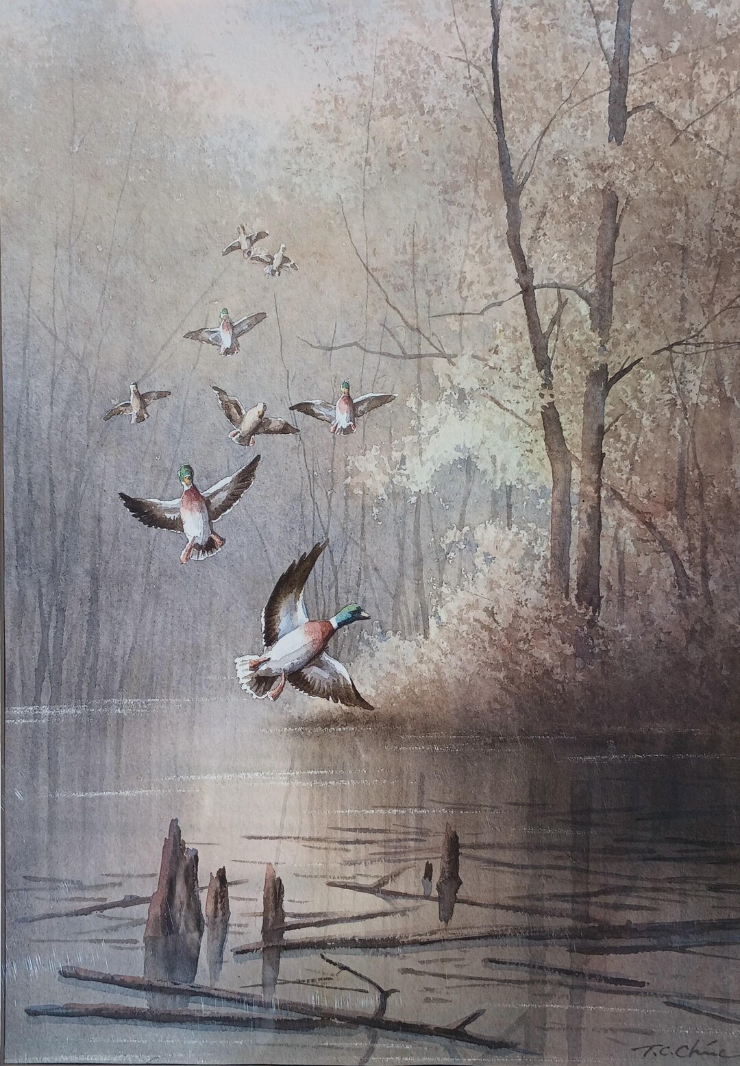 Matted and Framed Nature Duck Watercolor by New Jersey Artist Tan Chun ...