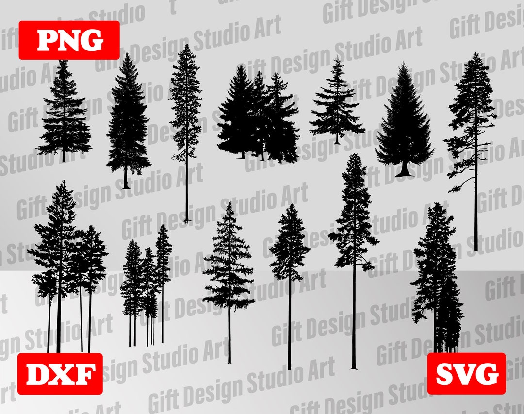PINE Tree Silhouette SVG Pine Tree Digital Tall Skinny Tree Pine Trees ...