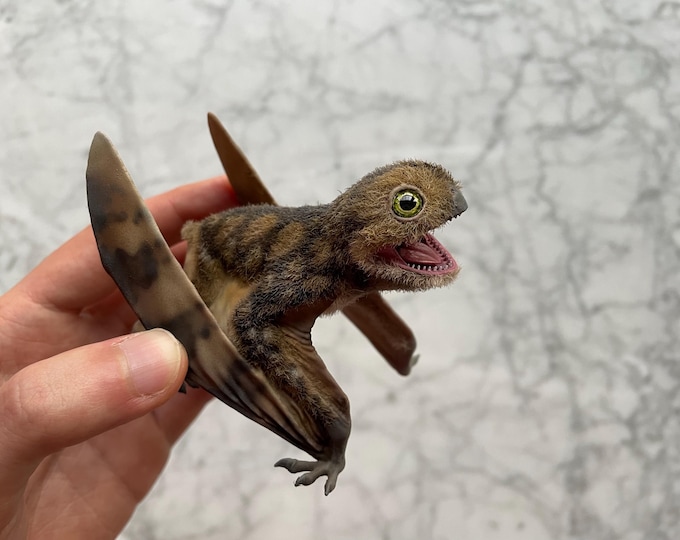 Anurognathus 6/14 - Etsy