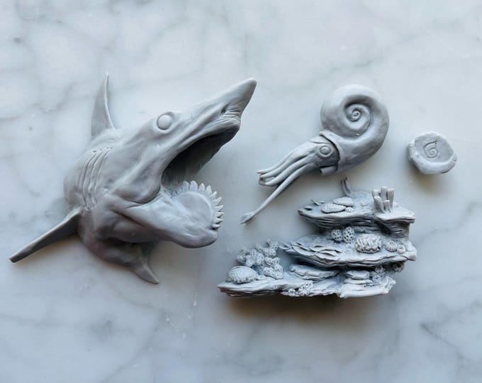 Helicoprion Diorama Kit: Miniature Undersea Scene - Etsy