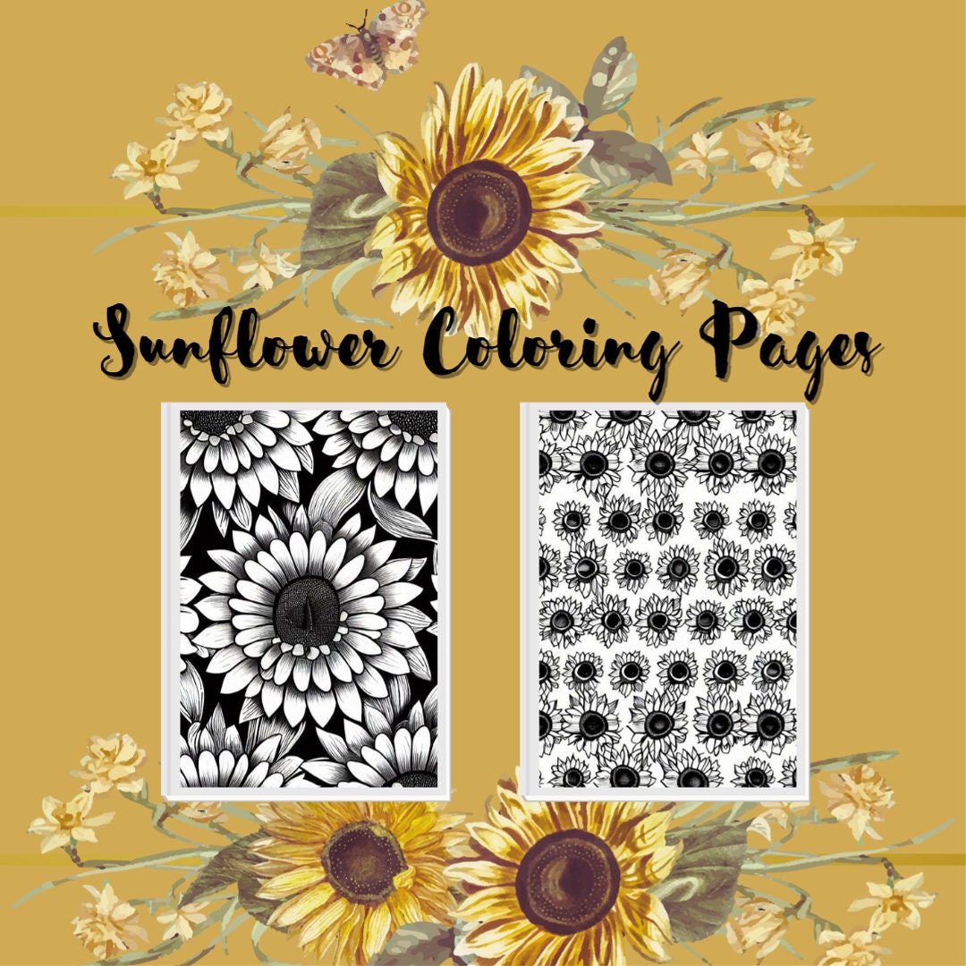 10 Printable Sunflower Coloring Pages, Sunflower Coloring, PDF ...