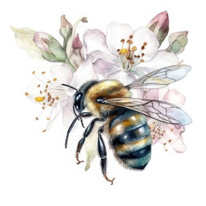 Floral Bees Watercolor Clipart Bundle, Commercial Use (digital Download ...