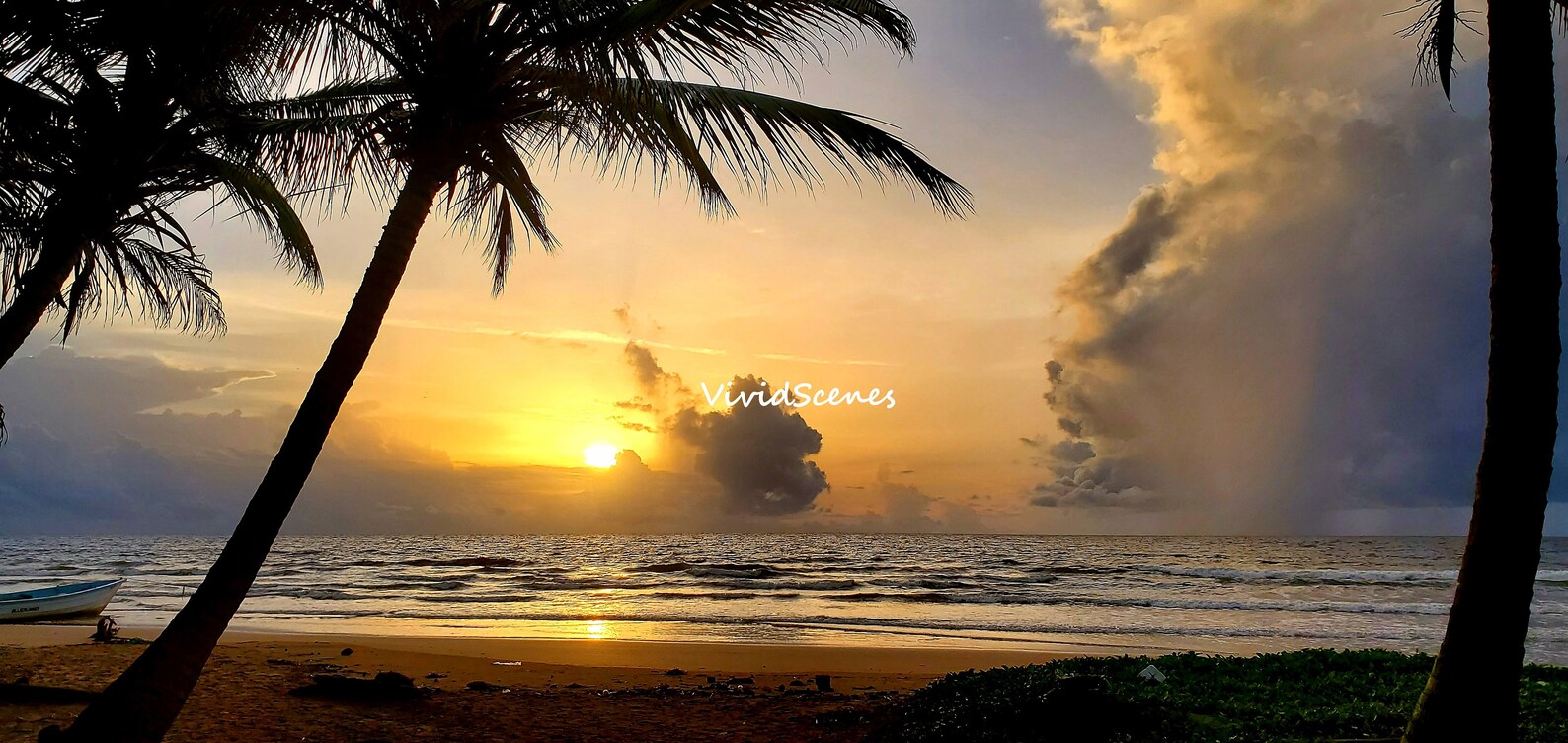 Beach Sunrise in Trinidad & Tobago Digital Image Printable - Etsy