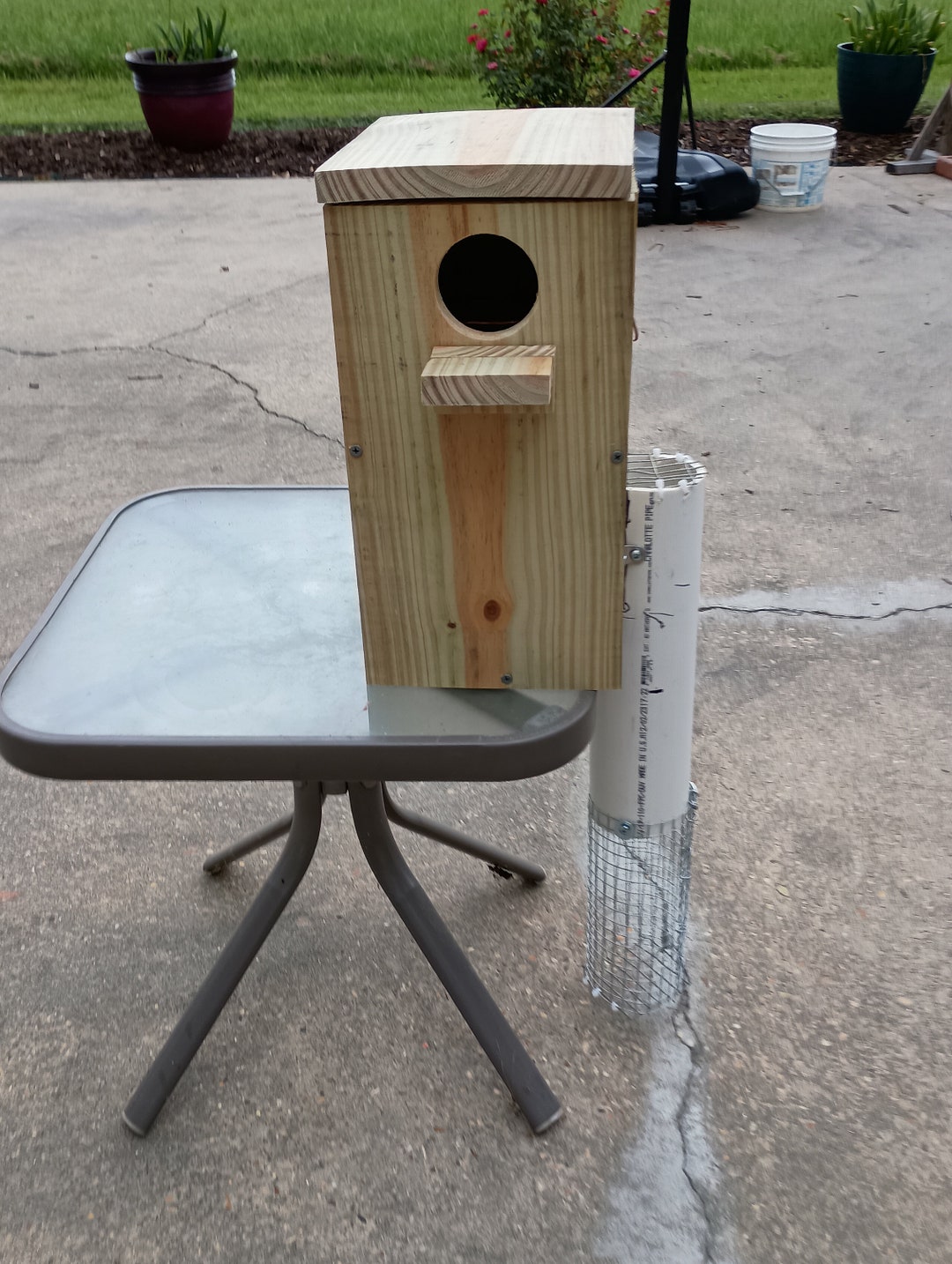Repeating Starling and Sparrow Trap to Help Purple Martins Colony ...