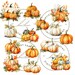 Pumpkin Clipart PNG Set, Bohemian Pumpkins Clipart, Commercial Use Clip ...