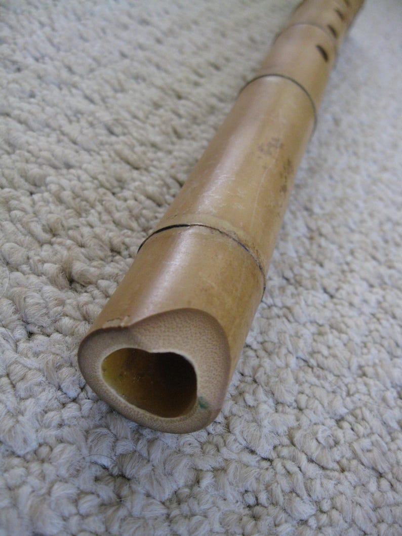 New 1.3 Madake Shakuhachi Bamboo Flute With Root End, & Natural Shaku ...