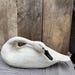 Hand Carved Swan - Etsy