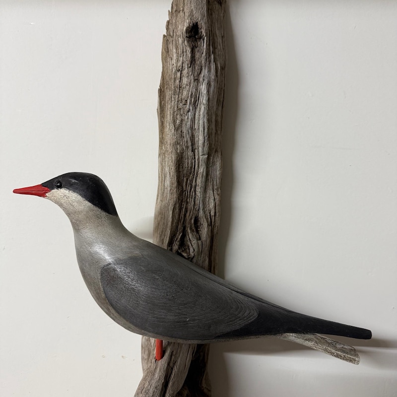 Common Tern - Etsy