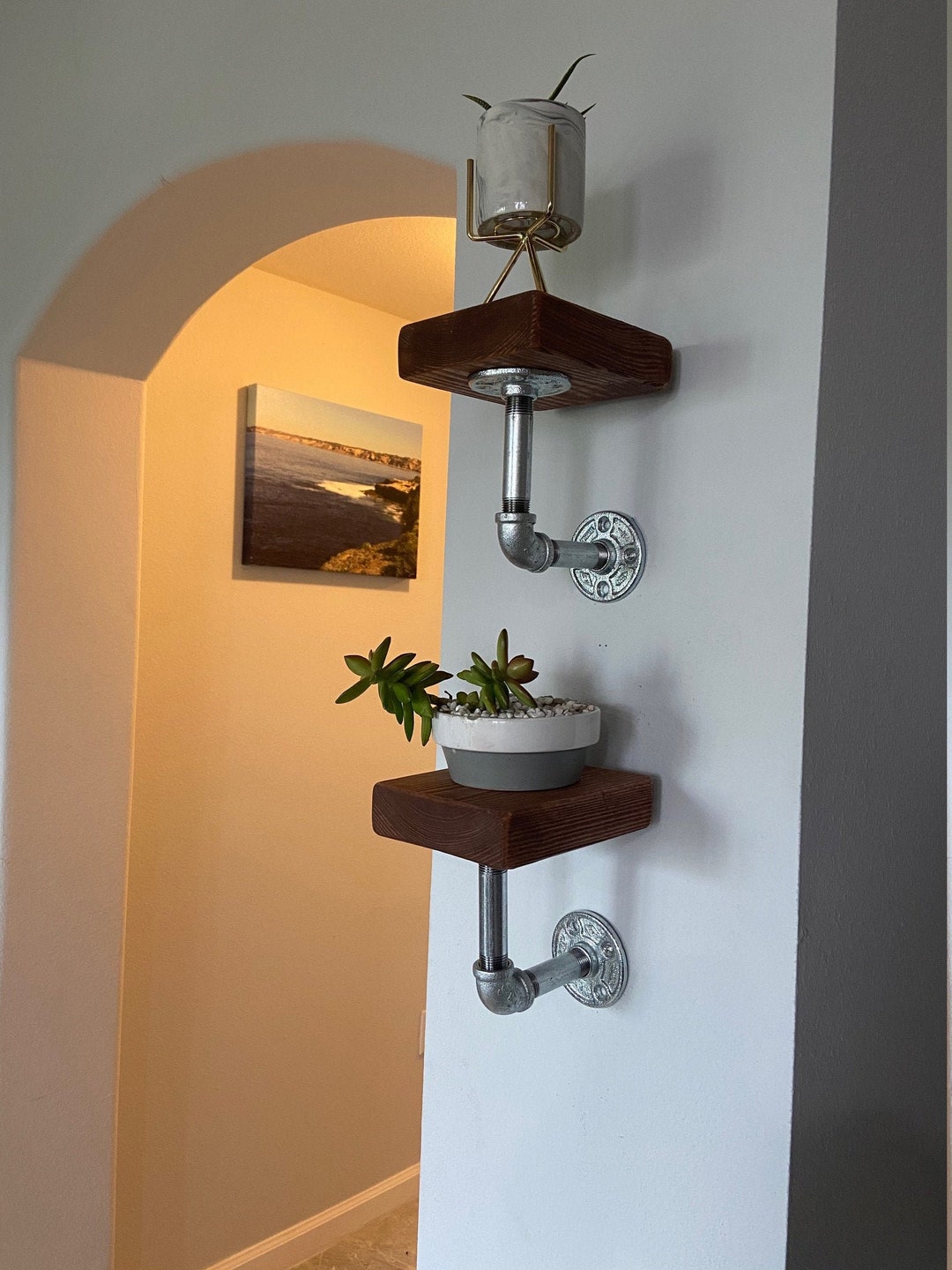 Custom Succulent Shelf - Etsy