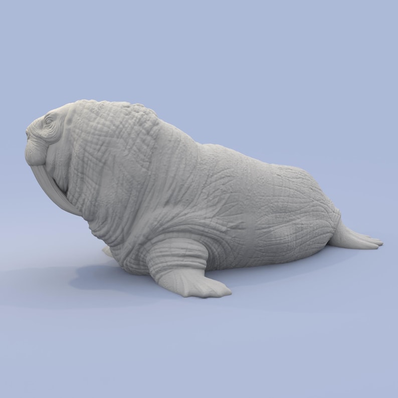 Giant Walrus Miniature for D&D Icewind Dale Terrain 15mm-56mm - Etsy