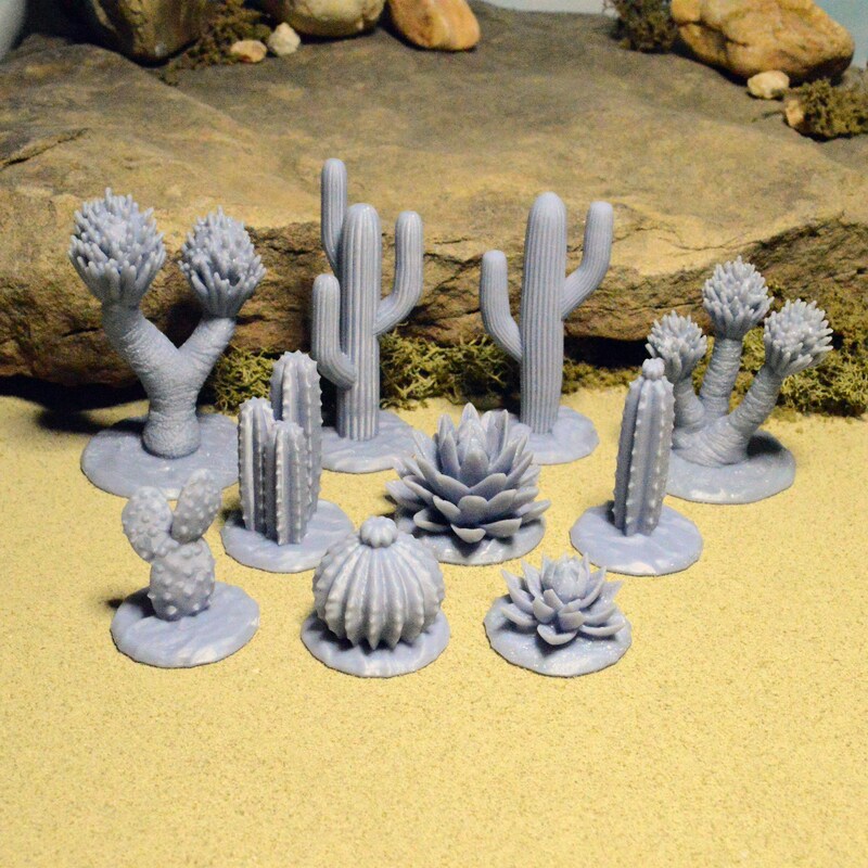 Miniature Cactus - Etsy