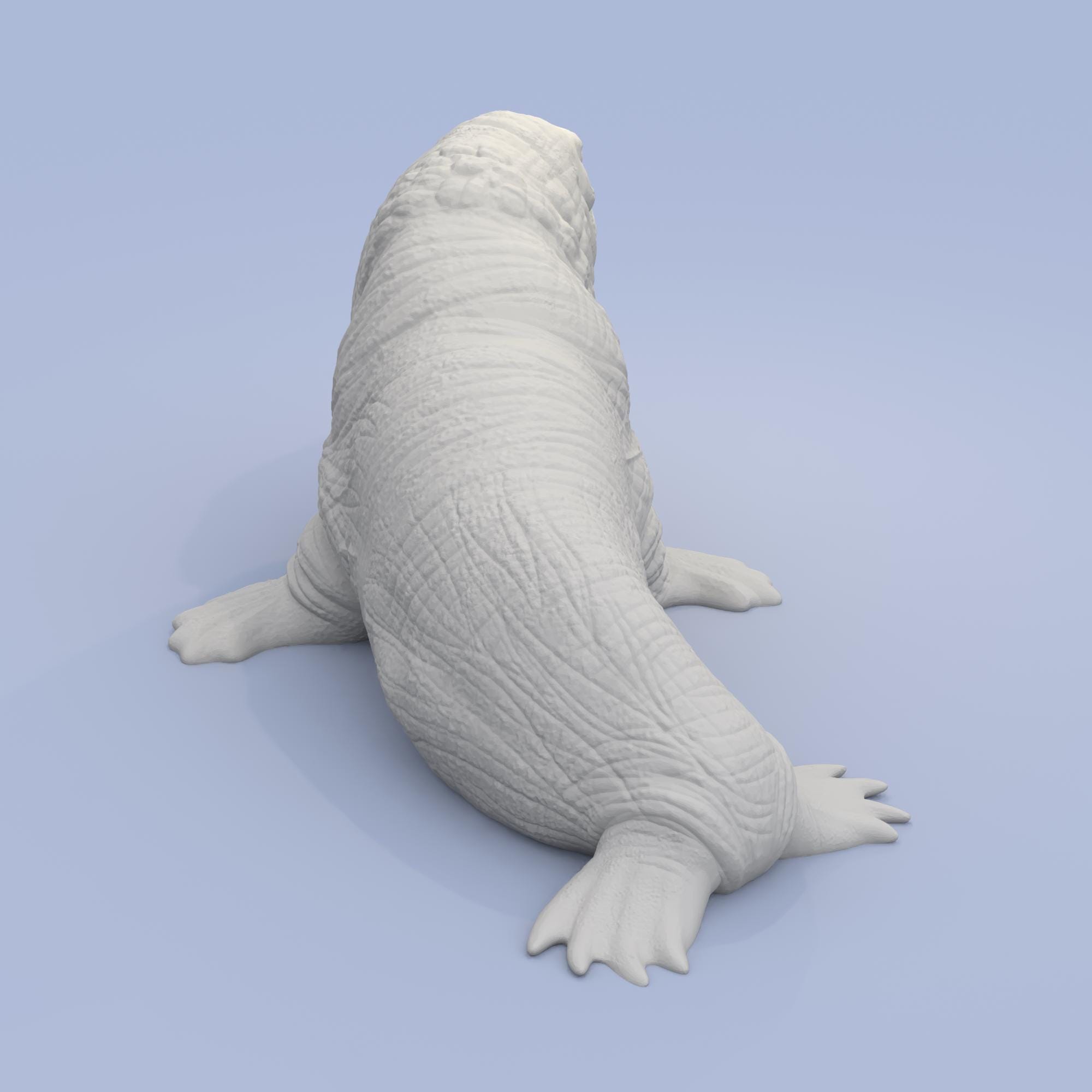 Giant Walrus Miniature for D&D Icewind Dale Terrain 15mm-56mm - Etsy