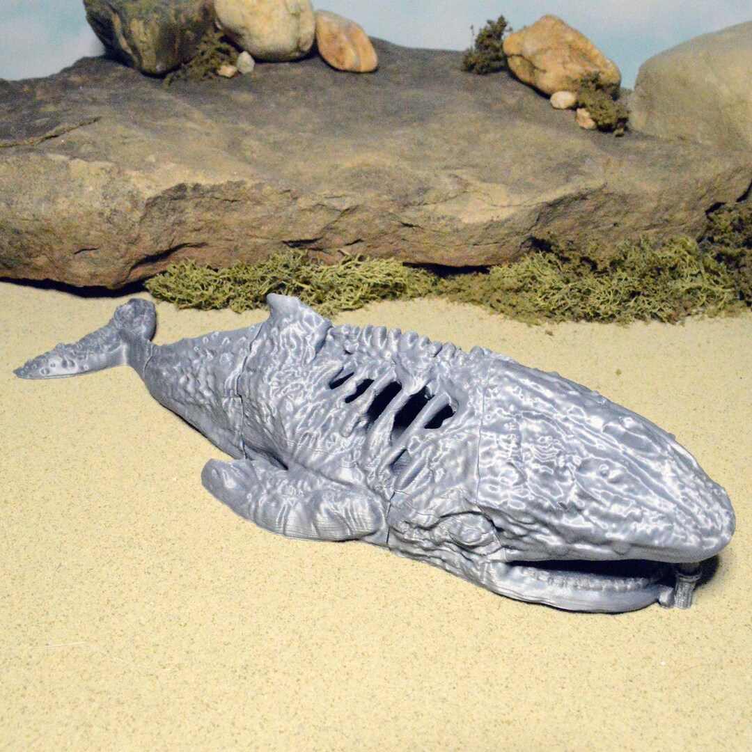 Whale Cave 15mm 28mm 32mm for D&D Coastal Terrain Dnd - Etsy
