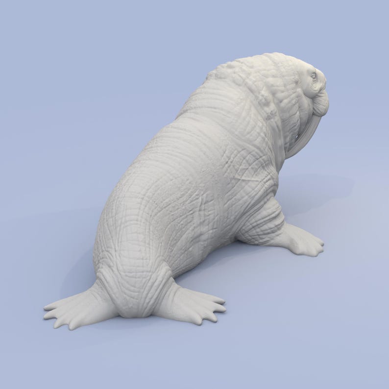 Giant Walrus Miniature for D&D Icewind Dale Terrain 15mm-56mm - Etsy