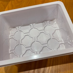 Seedling Tray Starter Kit With Humidity Control and Label (green Base ...