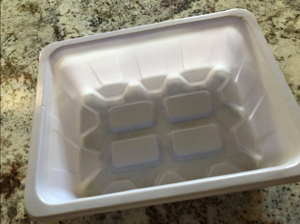 Seedling Tray Starter Kit With Humidity Control and Label (green Base ...