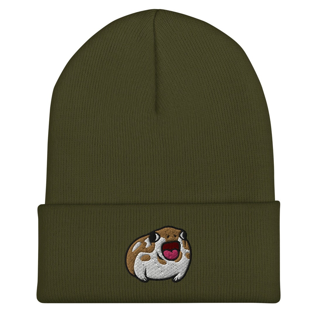 Yawning Rain Frog Embroidered Cuffed Beanie | Cute Rain Frog Hat, Frog ...
