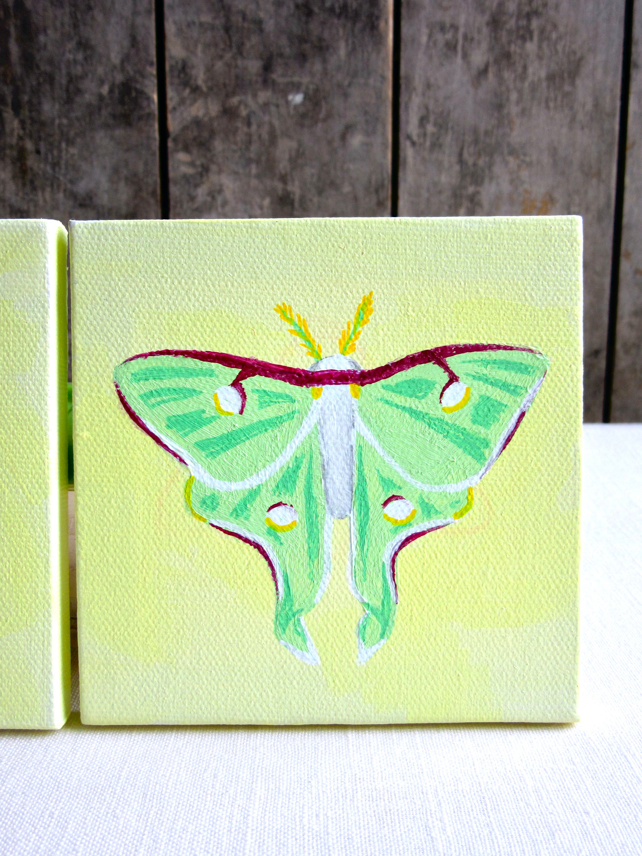 Mini Moths. Paintings Moth Pair Moth Art Set Original - Etsy