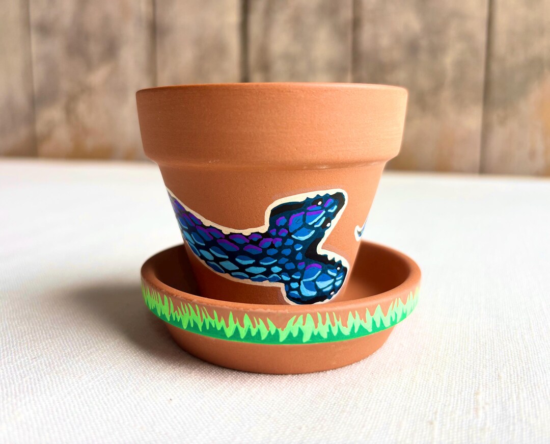 Two-headed Snake Planter | Hand-painted Terracotta Planter, Small ...