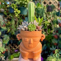 Aztec and Oceanside Plant Pot Set - Lightweight Coastal Succulent ...
