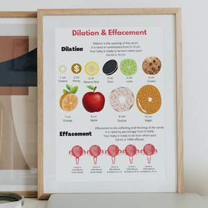 The Labor Process- Effacement Cervical Dilation Chart Handout ...