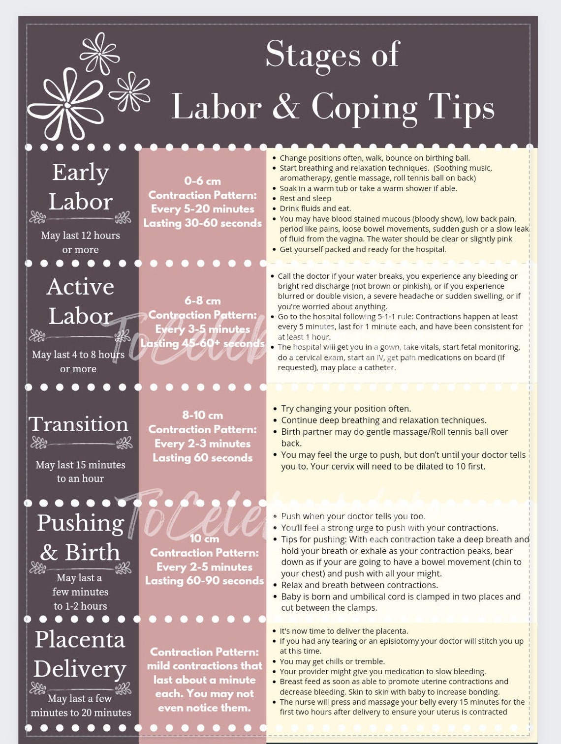 Phases of Labor & Coping Tips Handout Reference Printable - Etsy