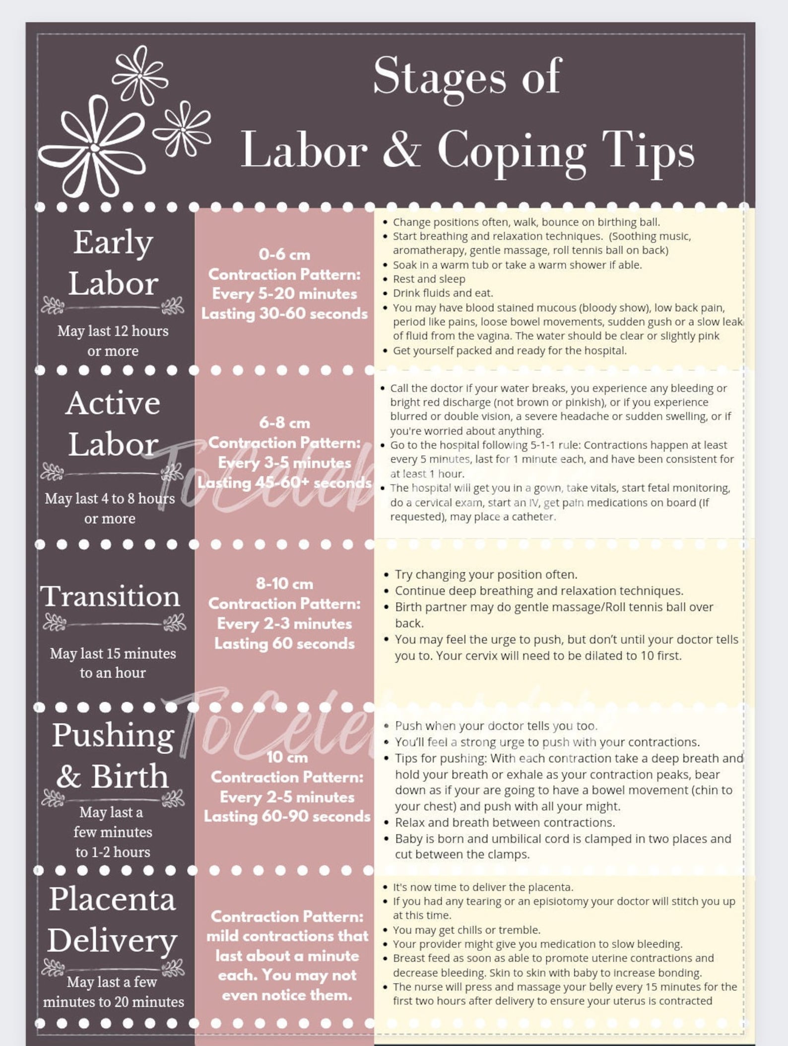 Phases of Labor & Coping Tips Handout Reference Printable - Etsy