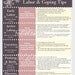 Phases of Labor & Coping Tips Handout Reference Printable, Childbirth ...