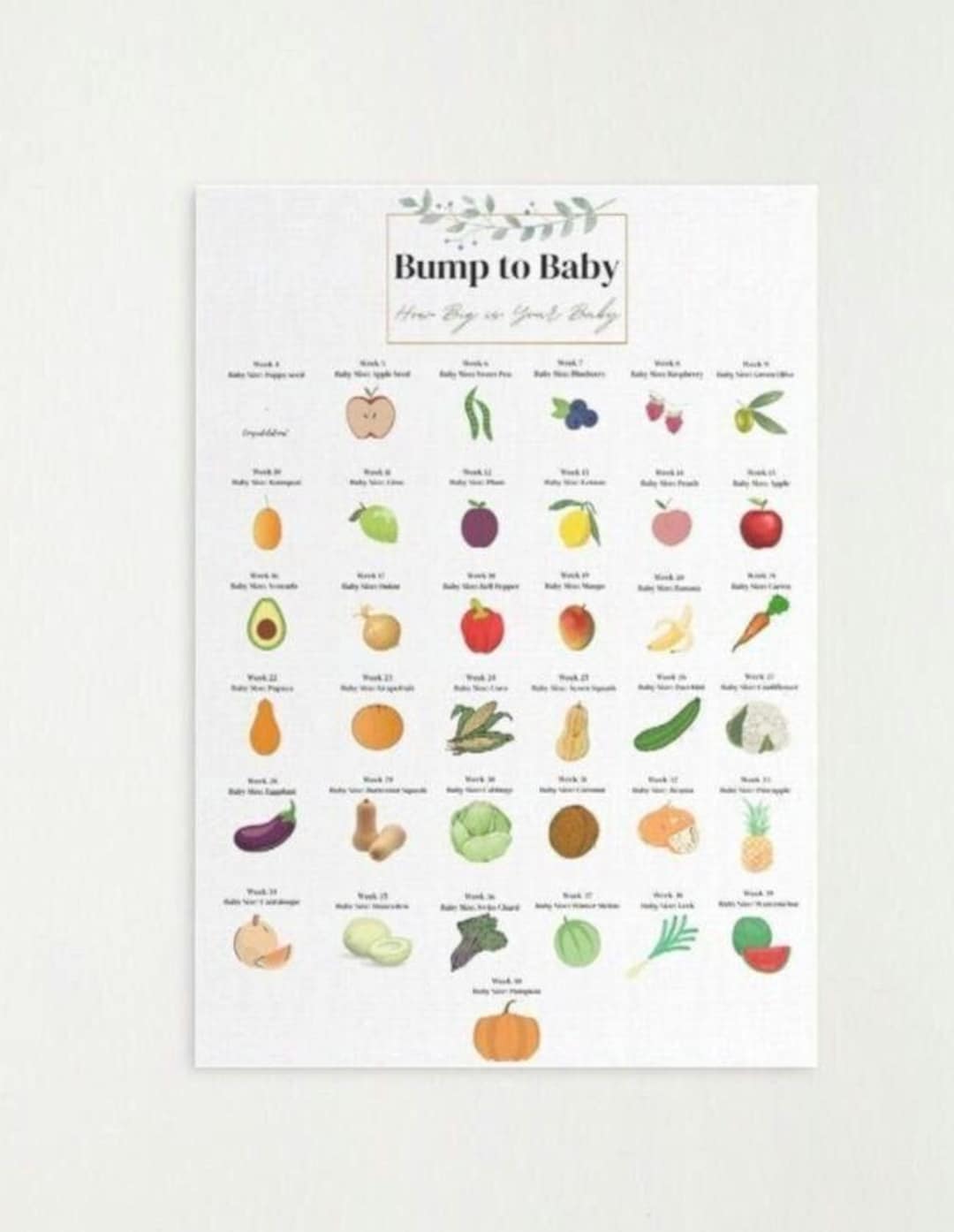 How Big is Baby, Week by Week Fruit Sizes for Pregnancy, Fruit ...