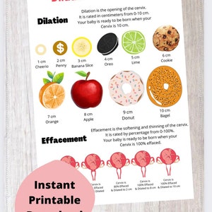 The Labor Process- Effacement Cervical Dilation Chart Handout ...