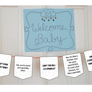 Schitt's Creek Baby Sprinkle Banner, Schitt's Creek Baby Shower ...