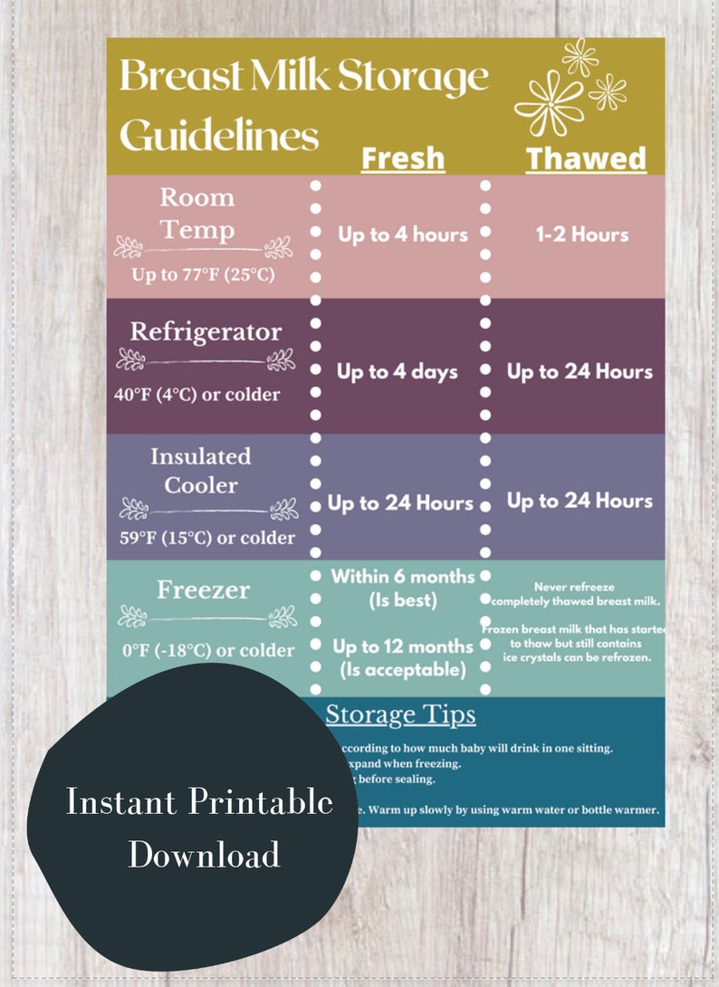 Breast Milk Storage Printable Digital Download CDC Guidelines - Etsy