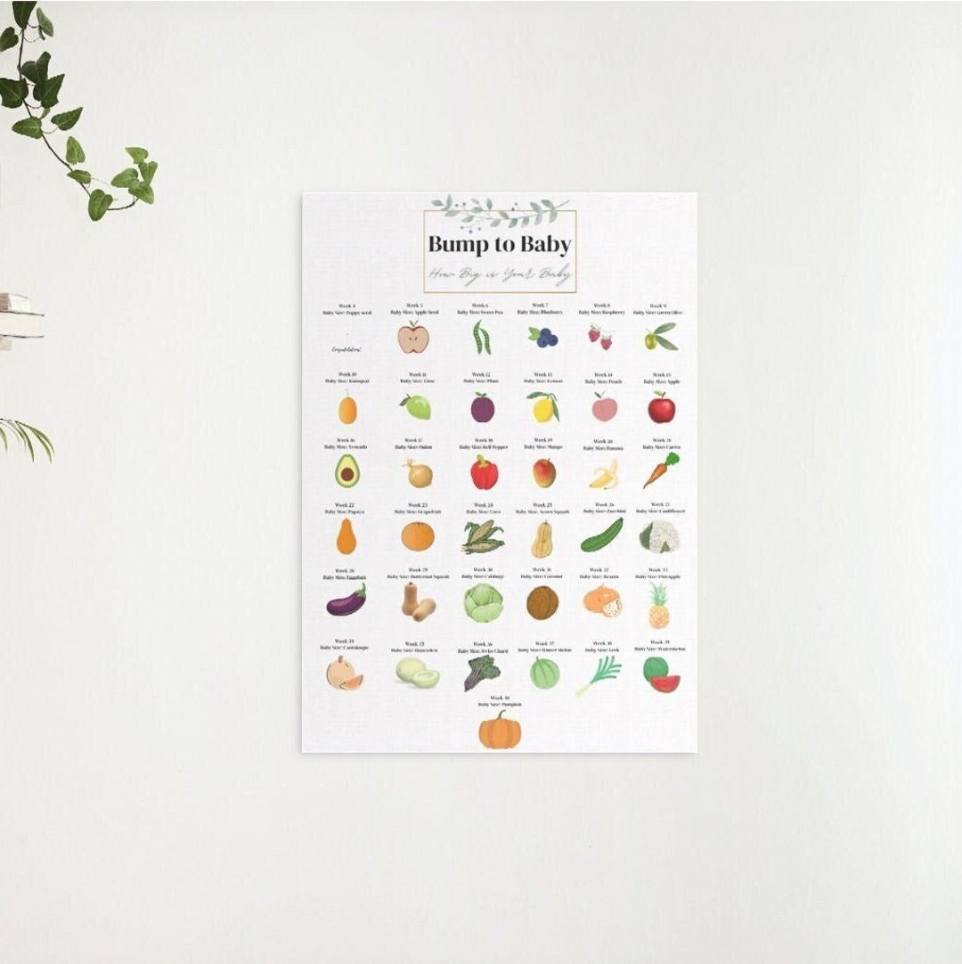Baby Size Chart, Fruit Pregnancy Milestone Chart, Baby Growth Tracker ...