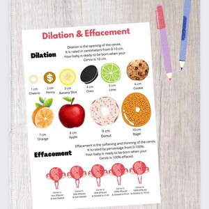 The Labor Process Effacement Cervical Dilation Chart Handout - Etsy