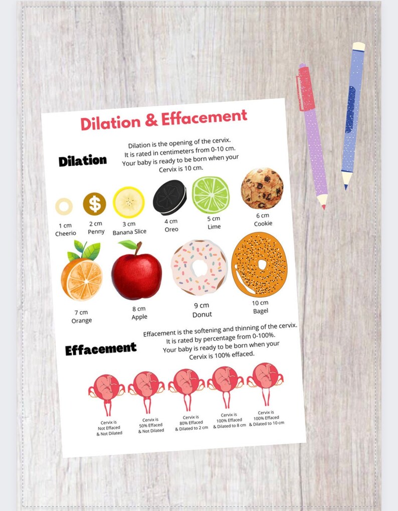 The Labor Process Effacement Cervical Dilation Chart Handout - Etsy