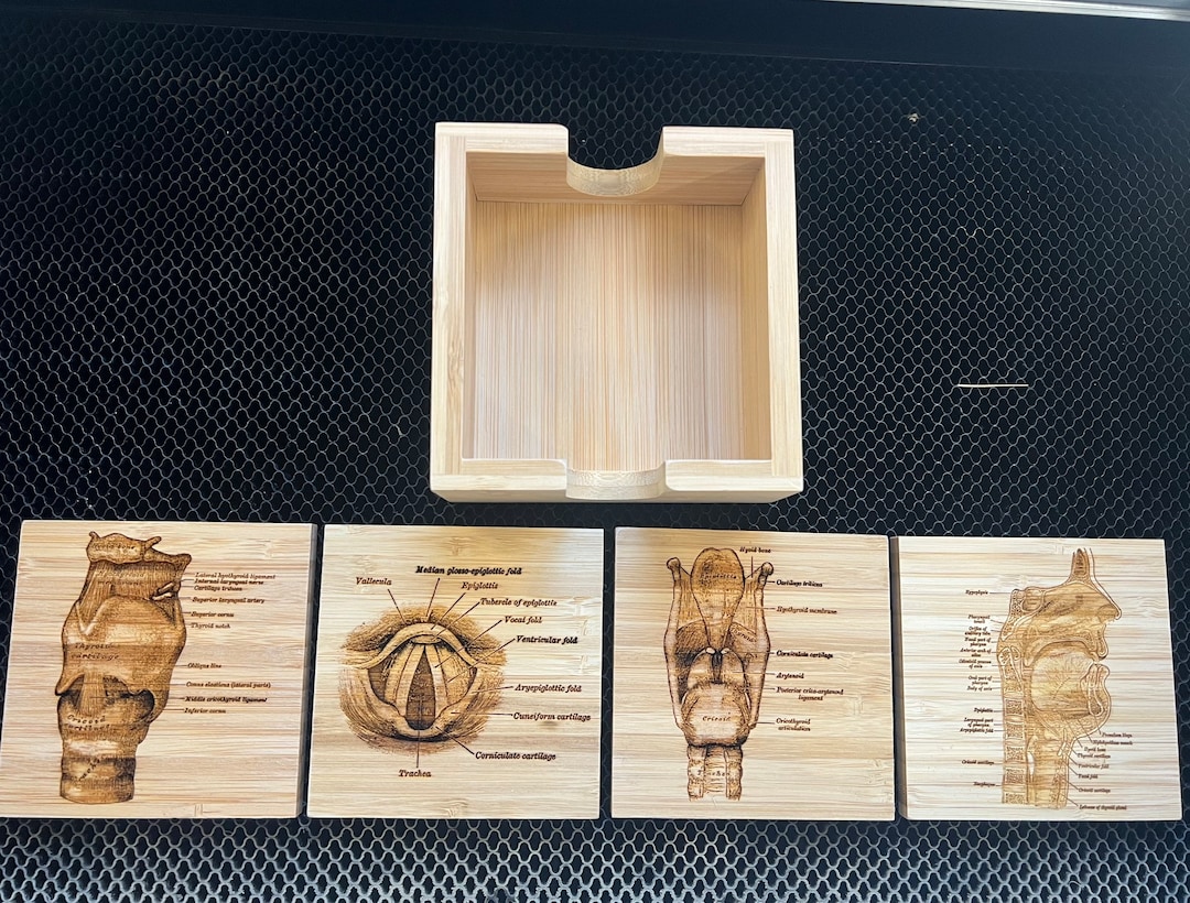 Speech Language Pathology (SLP) 4 Pack Anatomy Bundle Bamboo Coasters ...