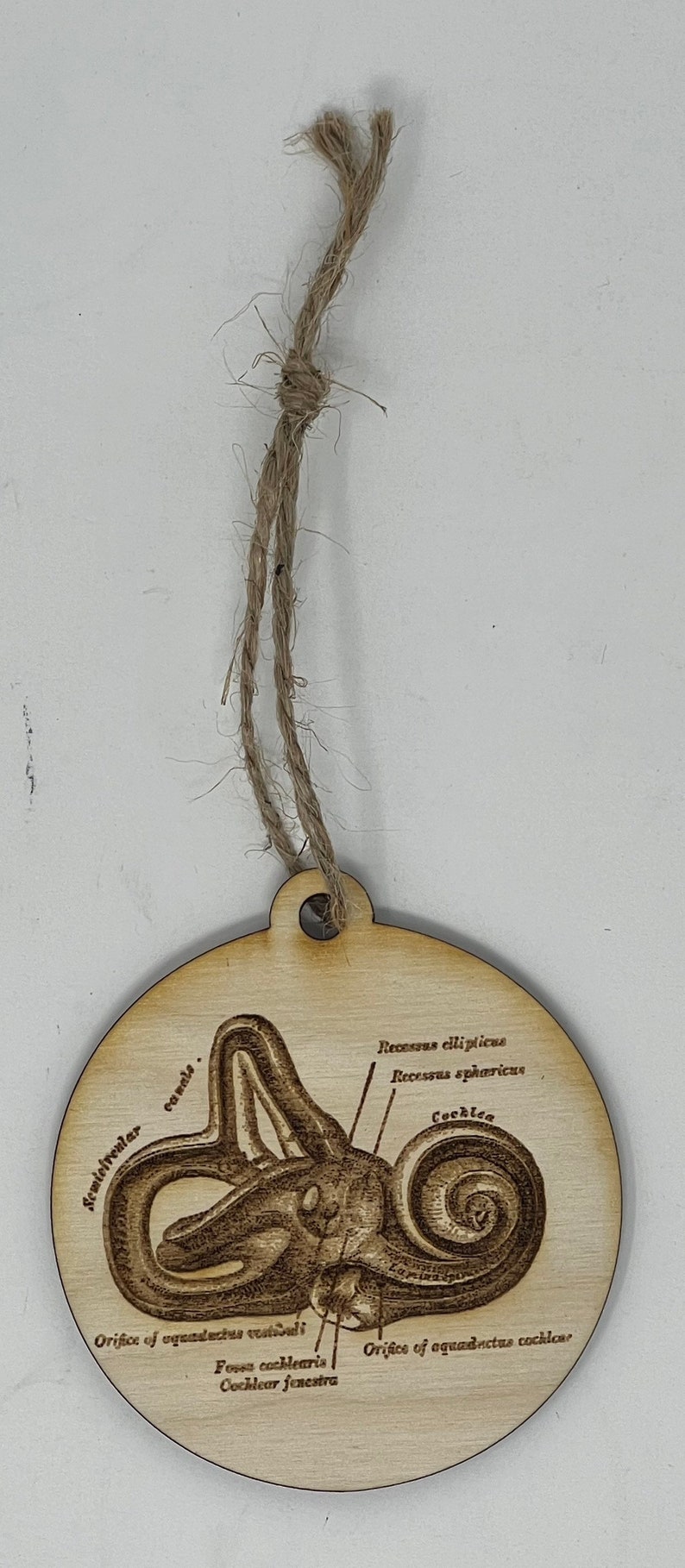 Ear Anatomy Ornaments - Etsy