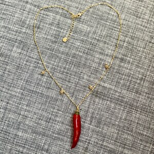 Handmade Pepper Chili Necklace, Red Chili Pepper Necklace, Nature ...