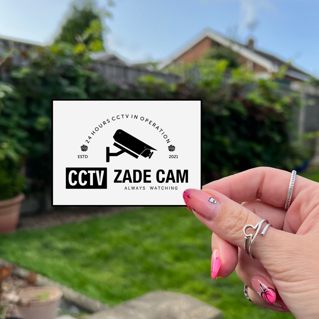 Haunting Adeline Book Sticker - Security Surveillance Camera | Zade ...