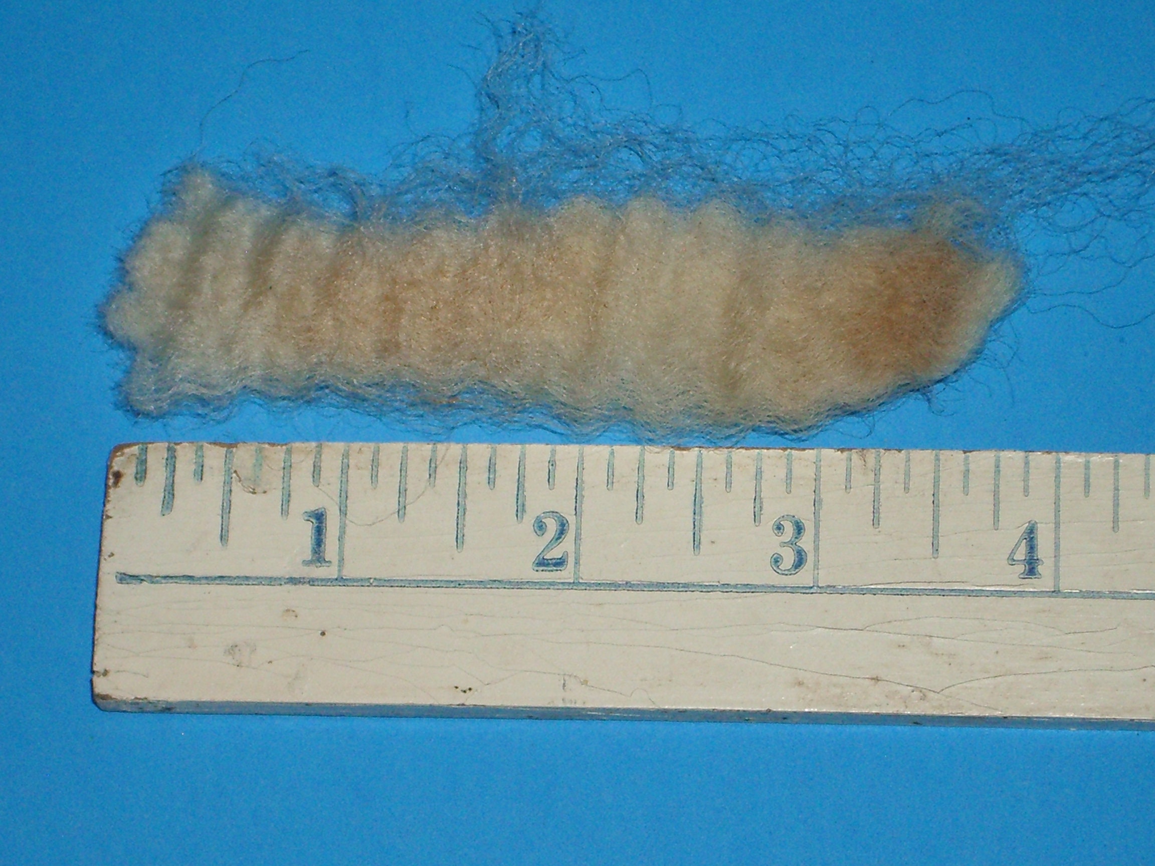 WOOL FLEECE ROMNEY - Etsy