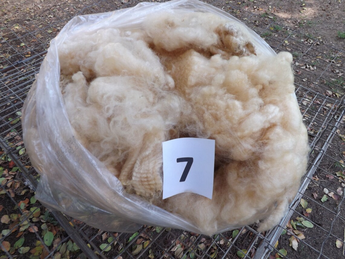 WOOL FLEECE, ROMNEY - Etsy
