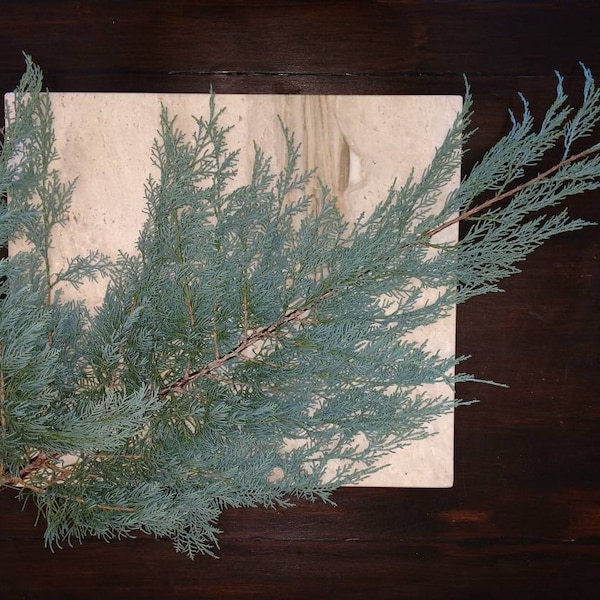 Juniper Home Decor - Etsy