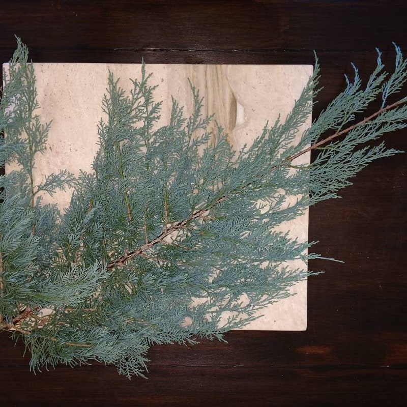 Juniper Home Decor - Etsy