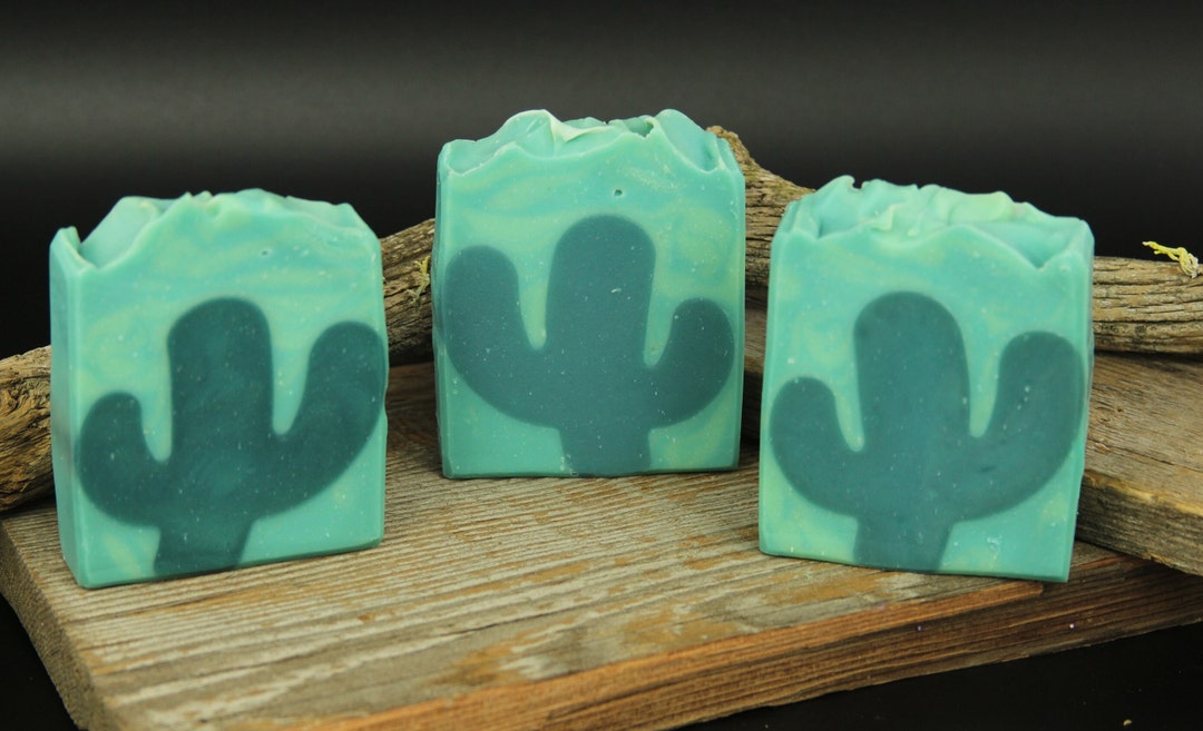 Cacti Artisan Soap, Aloe Vera Soap, Small Batch Handmade Soap, Cold ...