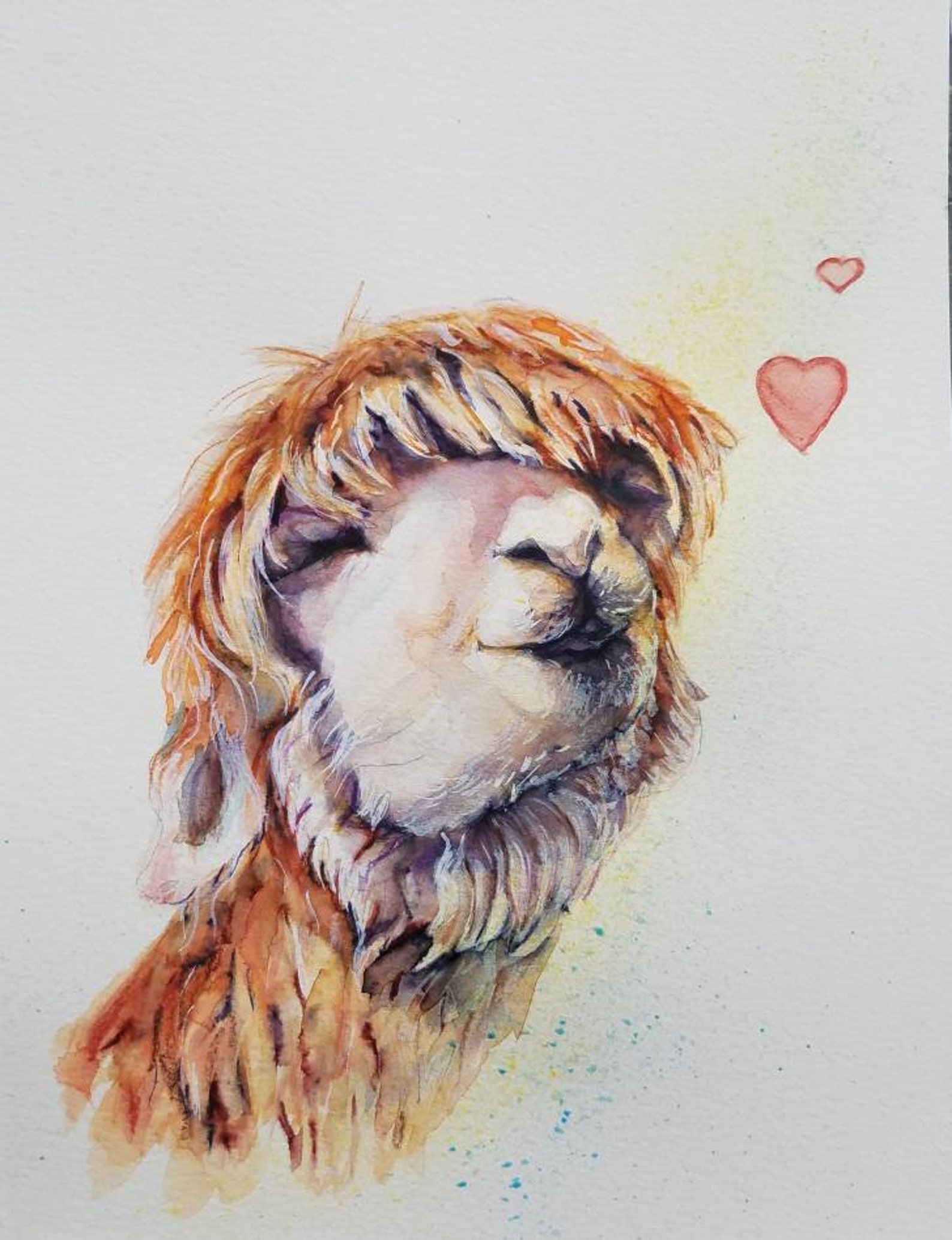 Alpaca Watercolor Original Painting.alpaca Sketch Farm Animal - Etsy