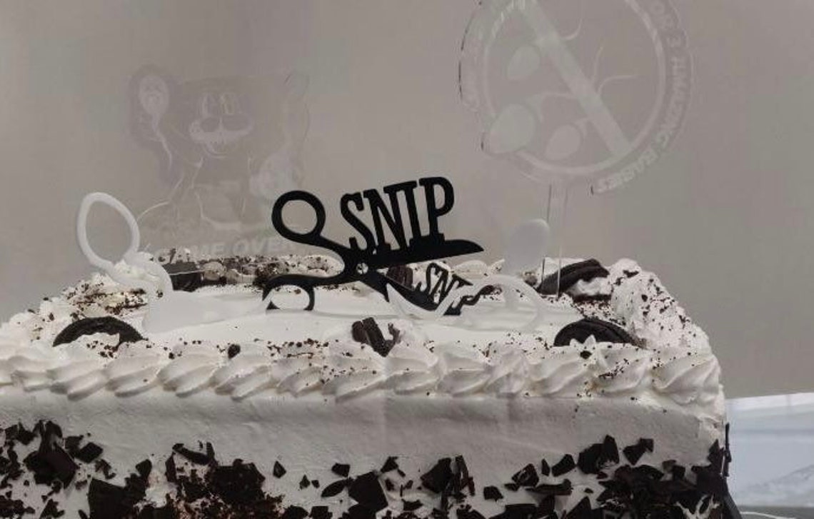 Snip Snip Vasectomy Cake Topper and Decor - Etsy