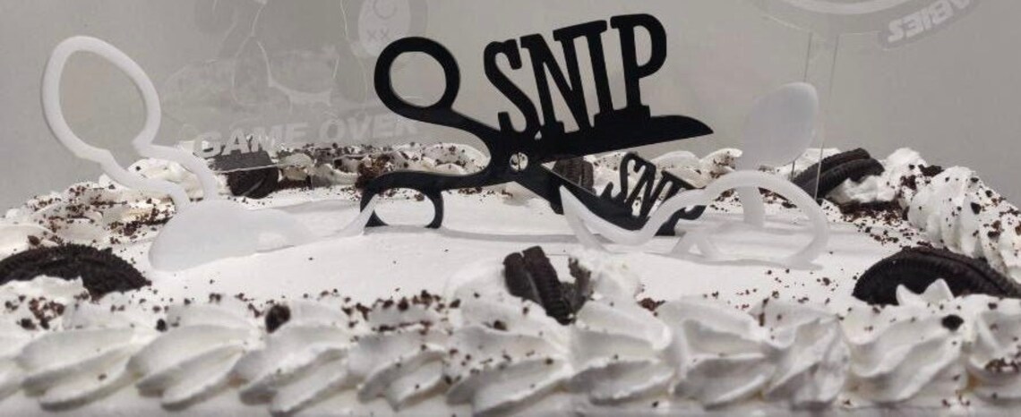Snip Snip Vasectomy Cake Topper and Decor - Etsy