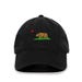 Chocolate Chip Cookie Vintage Baseball Cap Embroidered Cotton ...