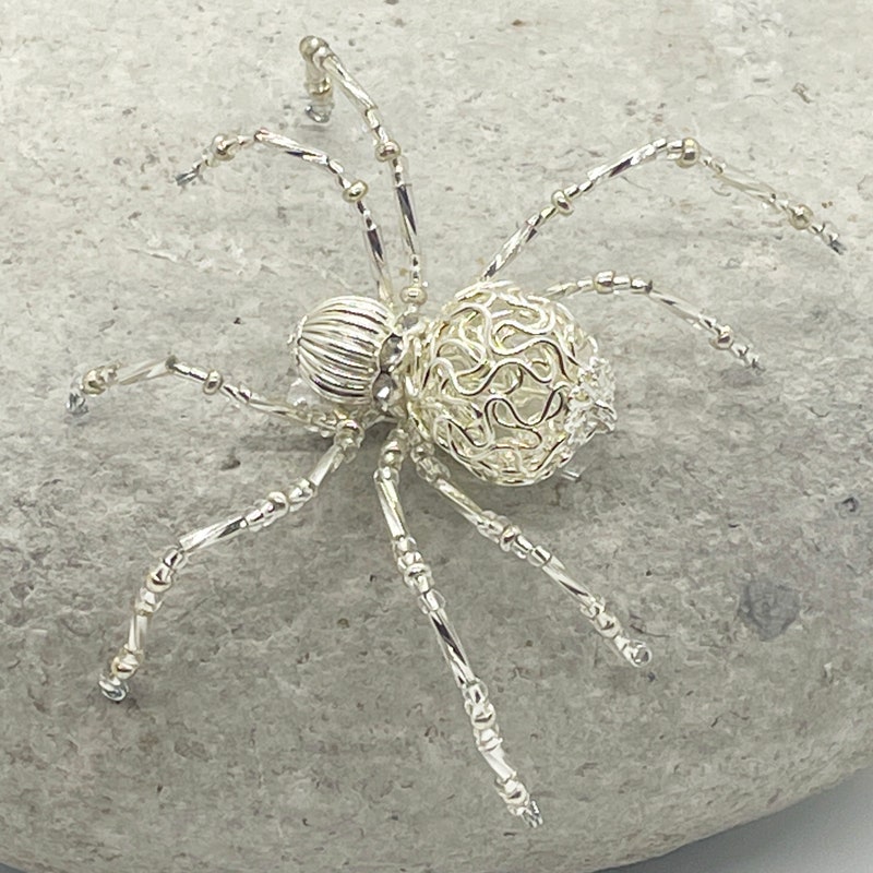 Spider New Home - Etsy UK